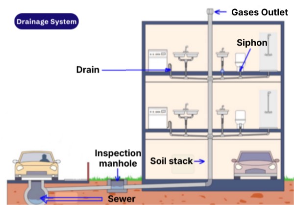 Drainage System-Helena Ferri