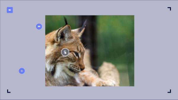 Image interactive essentiel