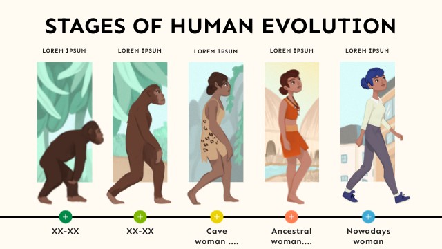 STAGES OF HUMAN EVOLUTION_502