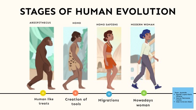 STAGES OF HUMAN EVOLUTION_502