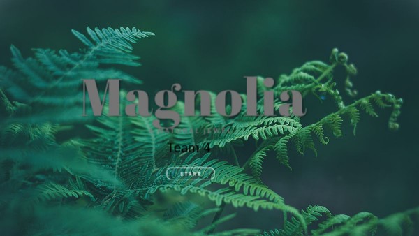 The Magnolia Team 4 | Genially