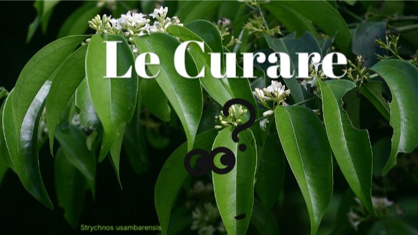 le curare | Genially