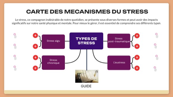 Les mécanismes du stress | Genially