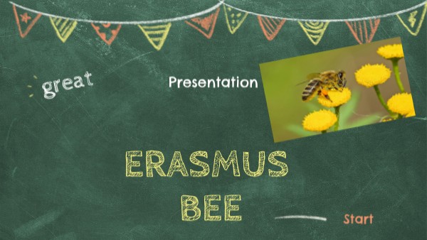 Copia - ERASMUS project: Bee