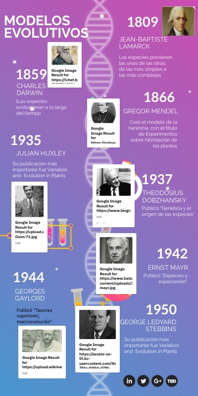 BIOLOGY VIBRANT TIMELINE