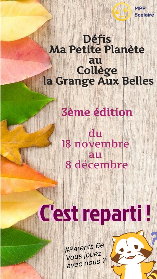 Présentation MPP Instagram | Genially