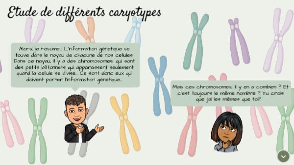 Etude de différents caryotypes | Genially