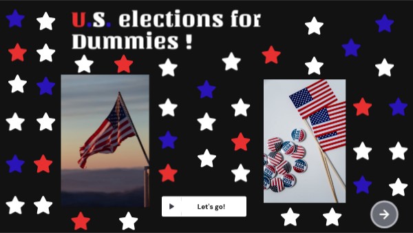 US ELECTION FOR DUMMIES