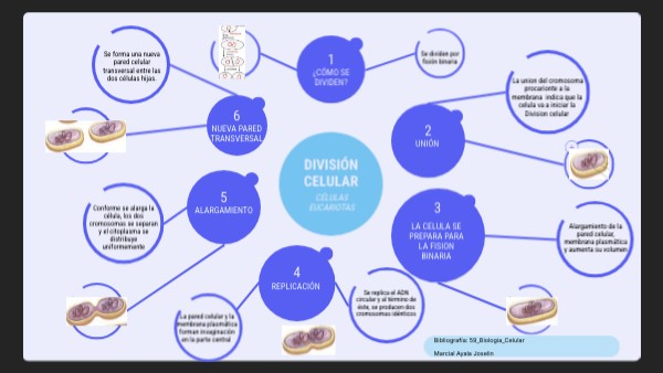 DIVISIÓN CELULAR PROCARIOTA