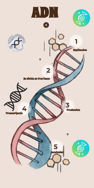 INFO VERTICAL ADN | Genially