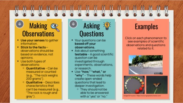 Q1 2.2 Observations and Questions