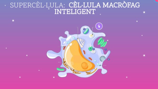 TASCA SUPERCÈL·LULA