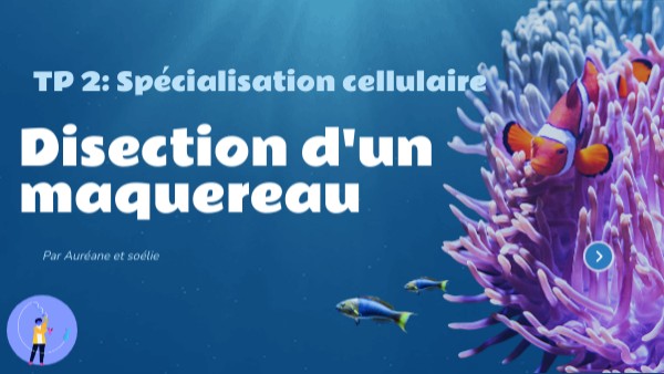 TP 2 : la spécialisation des cellules