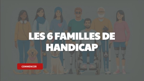 Quiz sur les 6 familles du handicap- VF | Genially