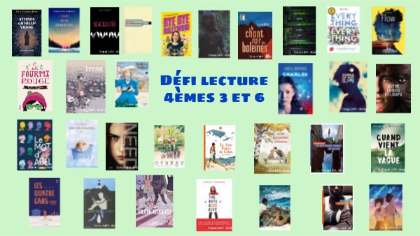 Défi lecture - 4èmes 3 et 6