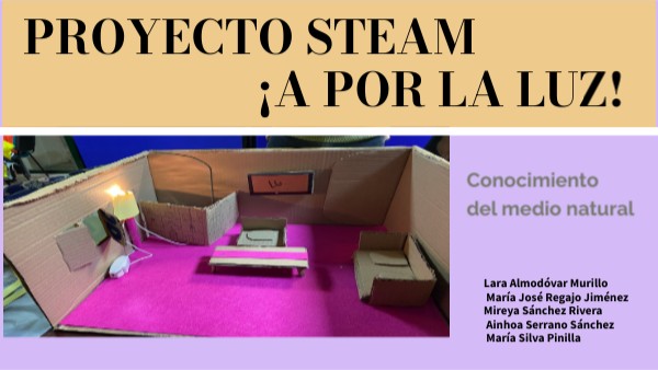 PROYECTO STEM