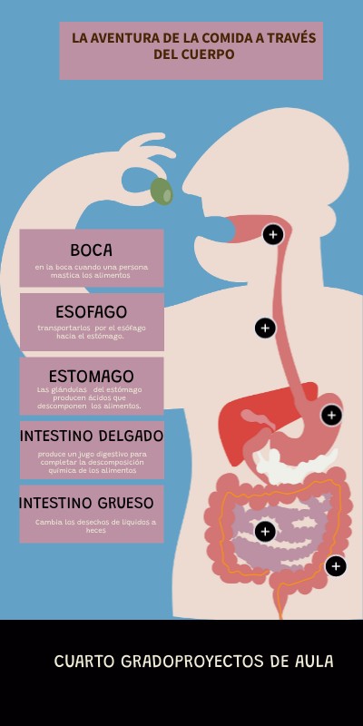 La aventura de la comida | Genially