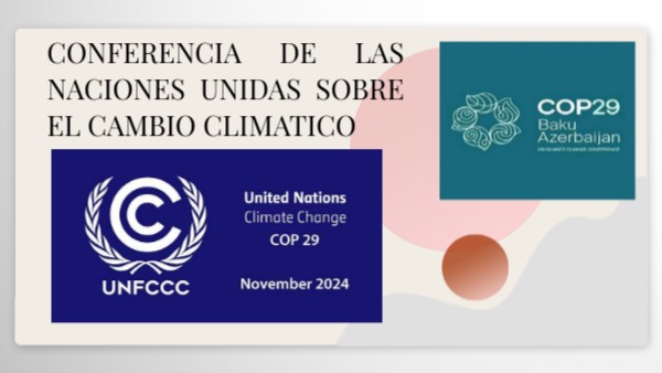COP 29