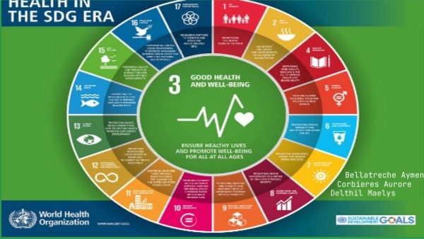 SDGs Guide