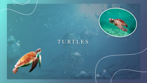 Présentation Océan | Genially