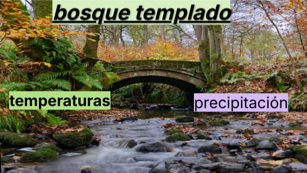 bosque templado