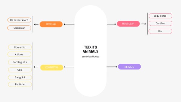 Teixit animal | Genially