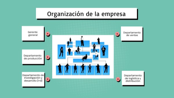 Organización de la empresa