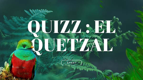 QUIZZ : EL QUETZAL