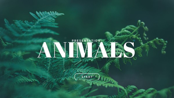 animals Presentation | Genially