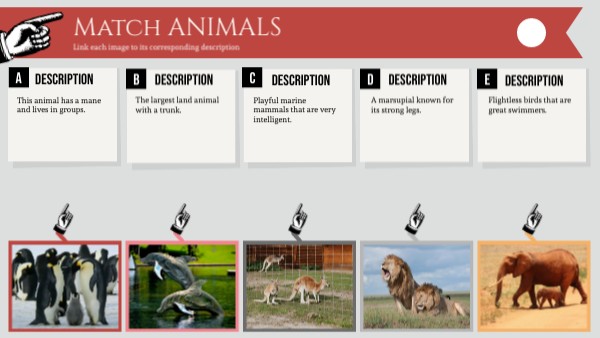 Match animals | Genially