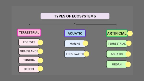 types of ecosystems | Genially