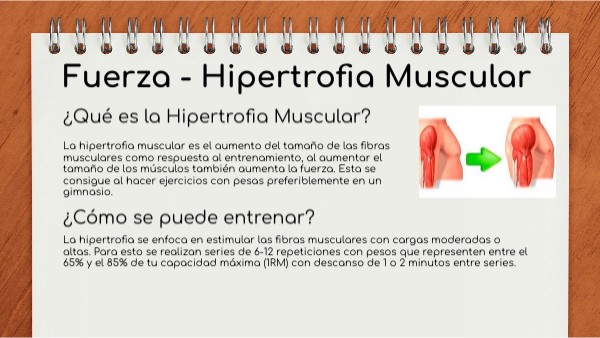 Hipertrofia muscular