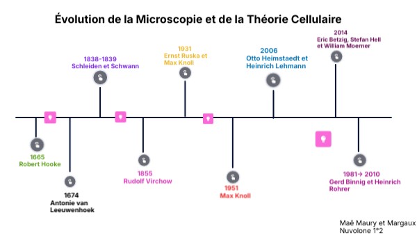 Frise chronologique la double évolution