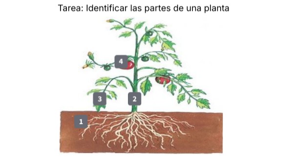 Covadonga_González_M2_Act_1