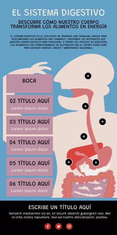 INFO VERTICAL DIGESTIVO