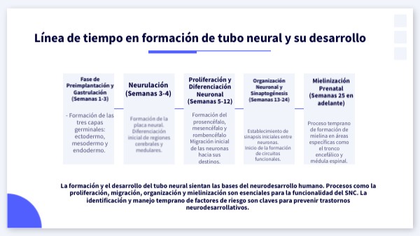 Línea de tiempo formas básica | Genially