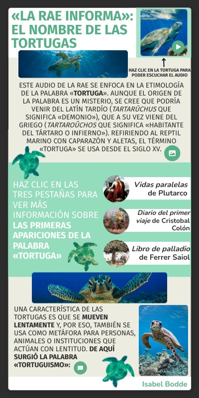 infografía rae - competencias digitales