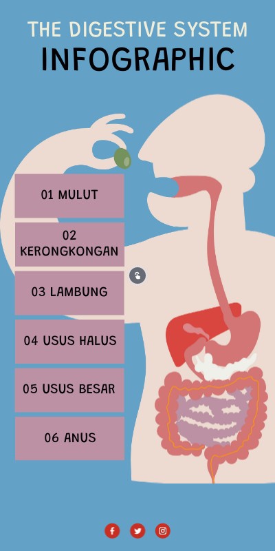DIGESTIVE VERTICAL INFO | Genially