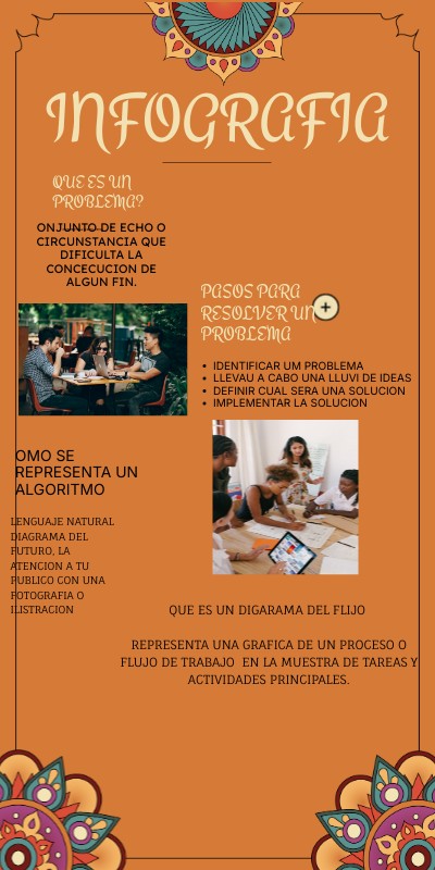 Infografía Vertical india