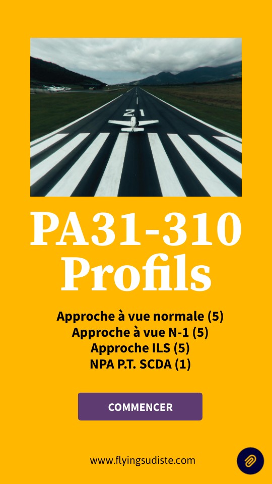 PA31-310 - Profils
