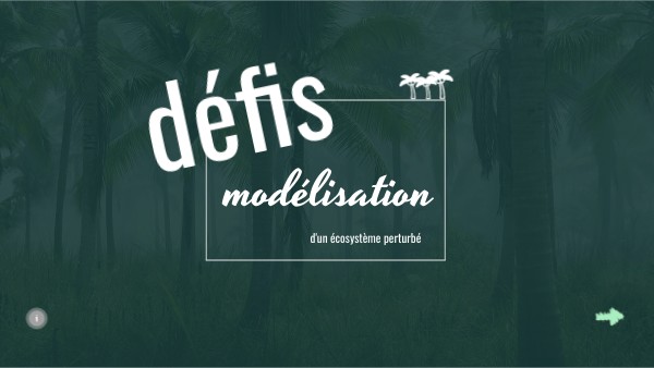 Défi modélisation perturbations 2024