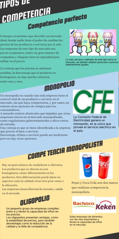 Infografía Tipos de Competencia