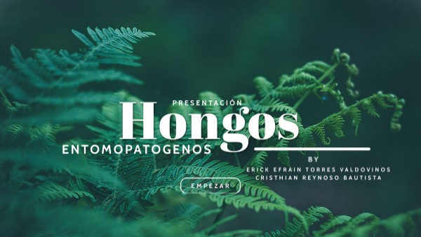 Presentación Hongos Endomo