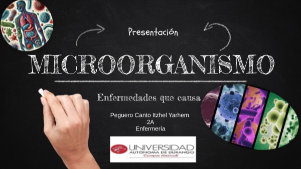 MICROORGANISMOS | Genially