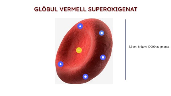 Glòbul vermell superoxigenat