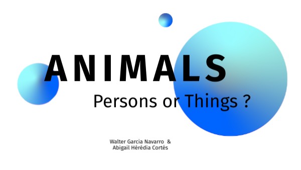 Animals : persons or things