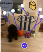 Mis 5 objetos - Gonzalo Palacio