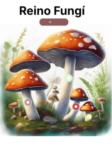 Reino fungi.pdf | Genially