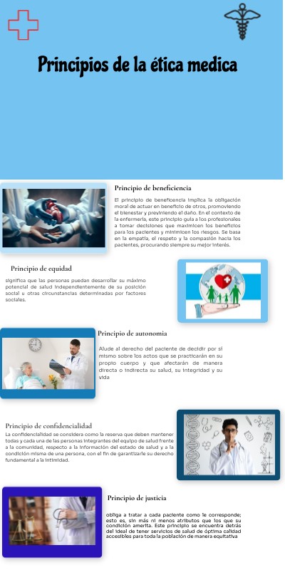 Infografía_principios | Genially