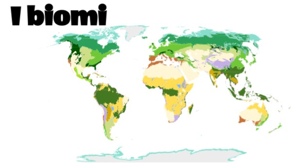 I biomi